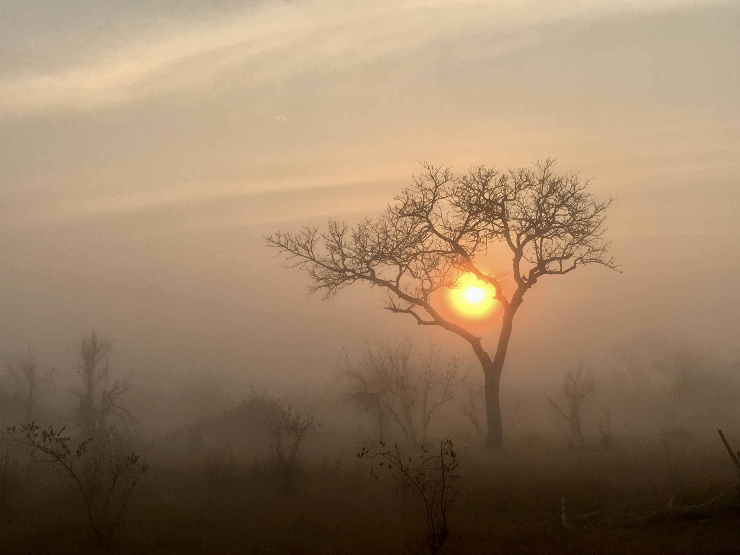 Unfoldment - Natural Success